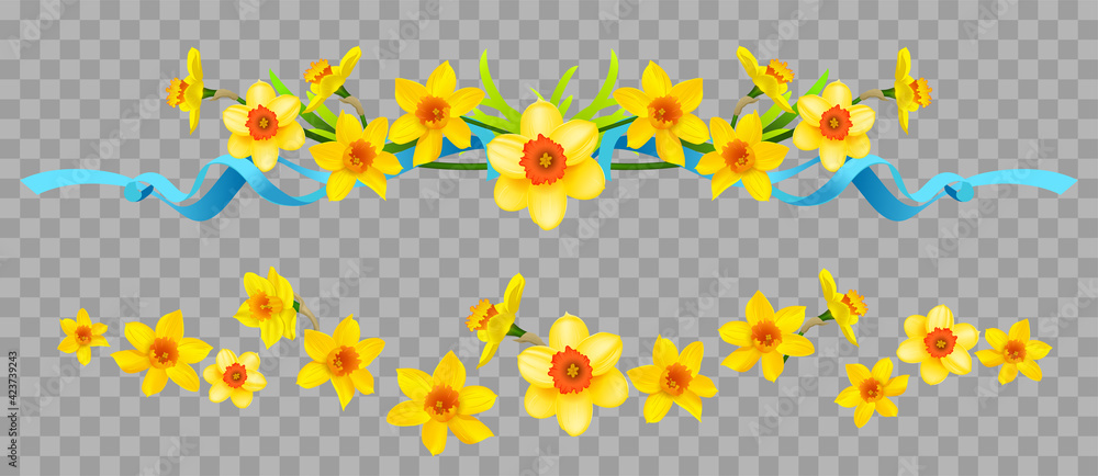 Floral borders set with daffodils on transparent background. Stock ...