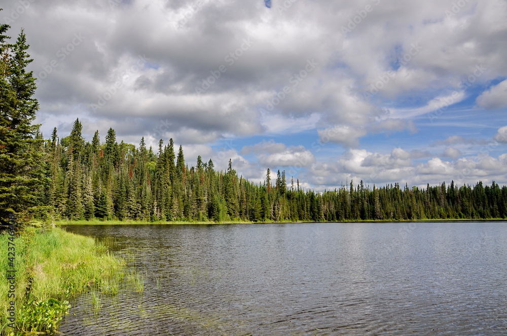 Lily Lake in Lesser Slave Lake Provincial Park in Alberta, Canada ...