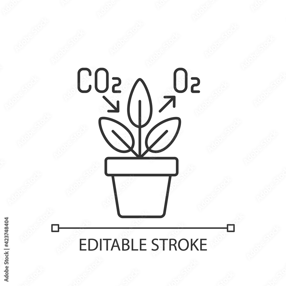 Air purifying plant linear icon. Plants clean the air through the ...