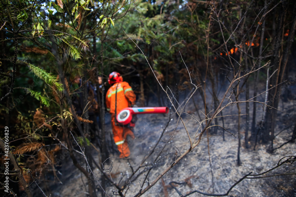 Forest fires filled the sky with smoke. Caused by human sacrificial ...