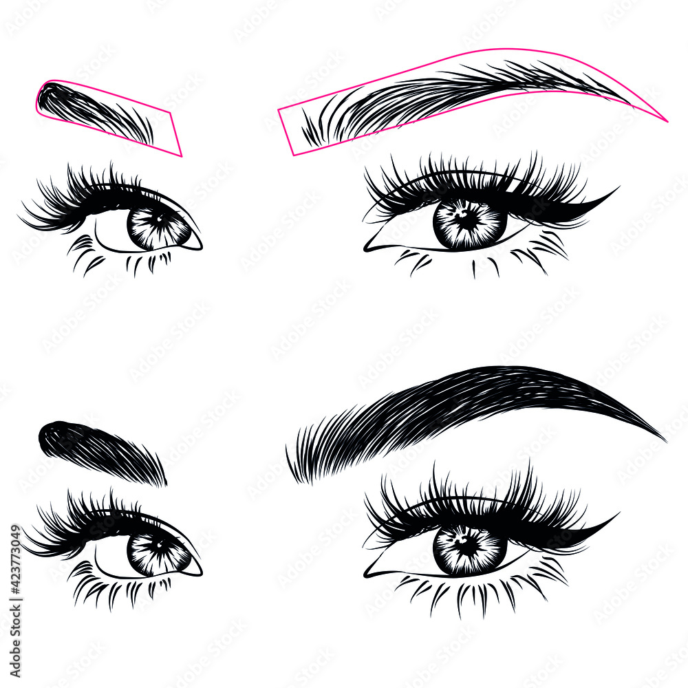 Eyebrow tutorial illustration isolated on white background. Hand drawn ...