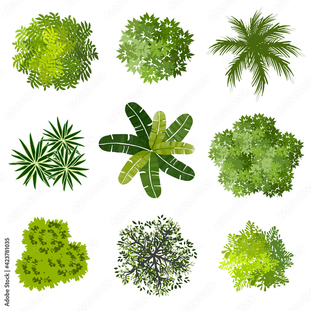 Collection of abstract vector green tree top view isolated on white ...