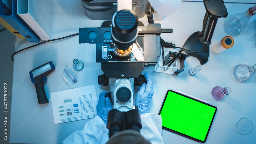Top Down View of a Medical Research Scientist in Blue Rubber Gloves ...