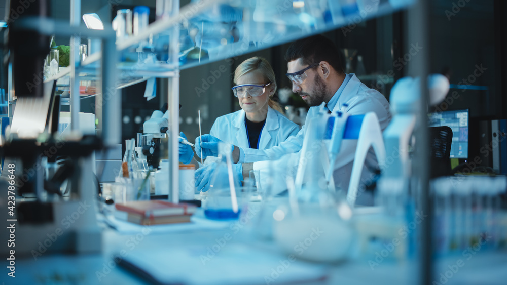 Female and Male Medical Research Scientists Have a Conversation While ...