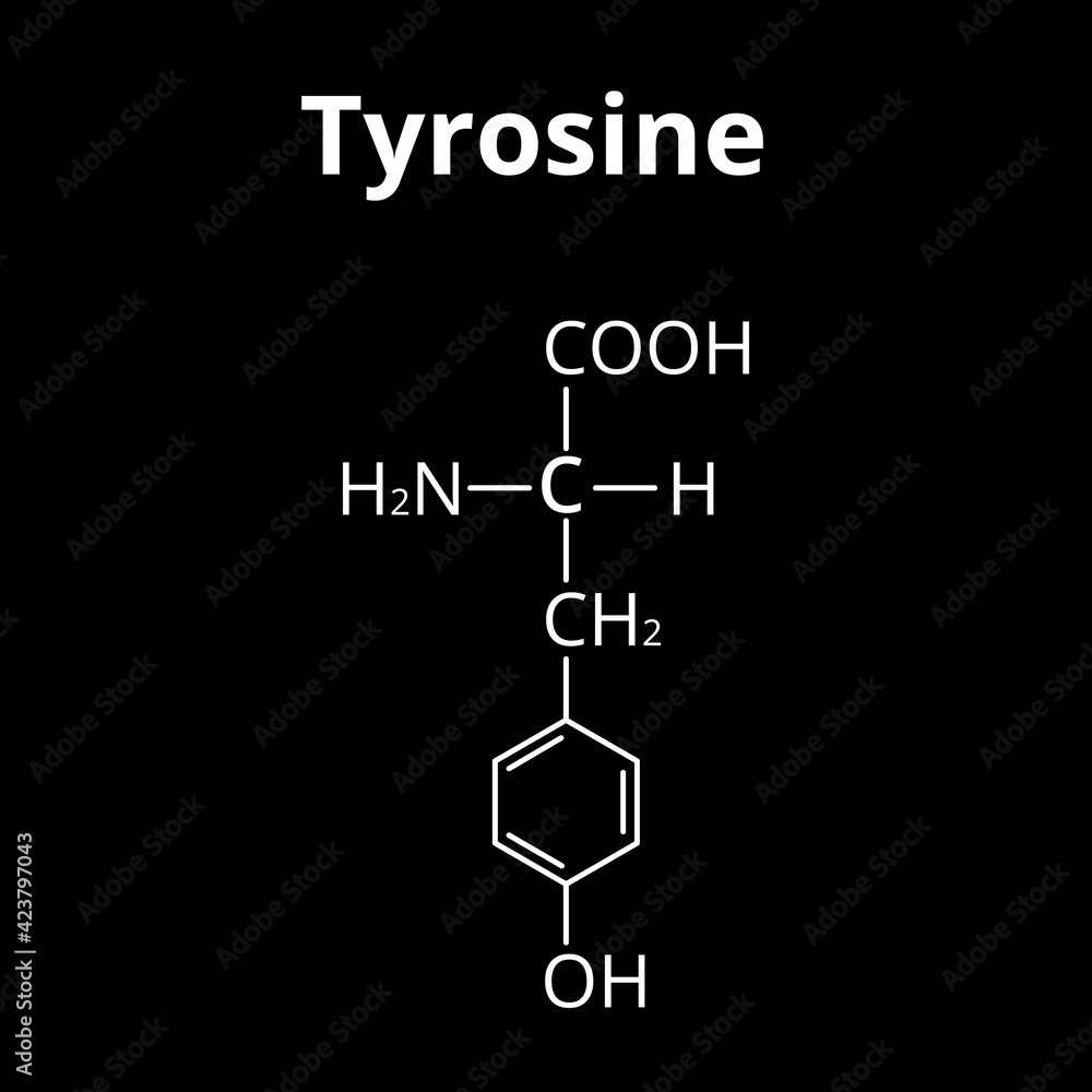 The amino acid Tyrosine. Chemical molecular formula of Tyrosine amino ...