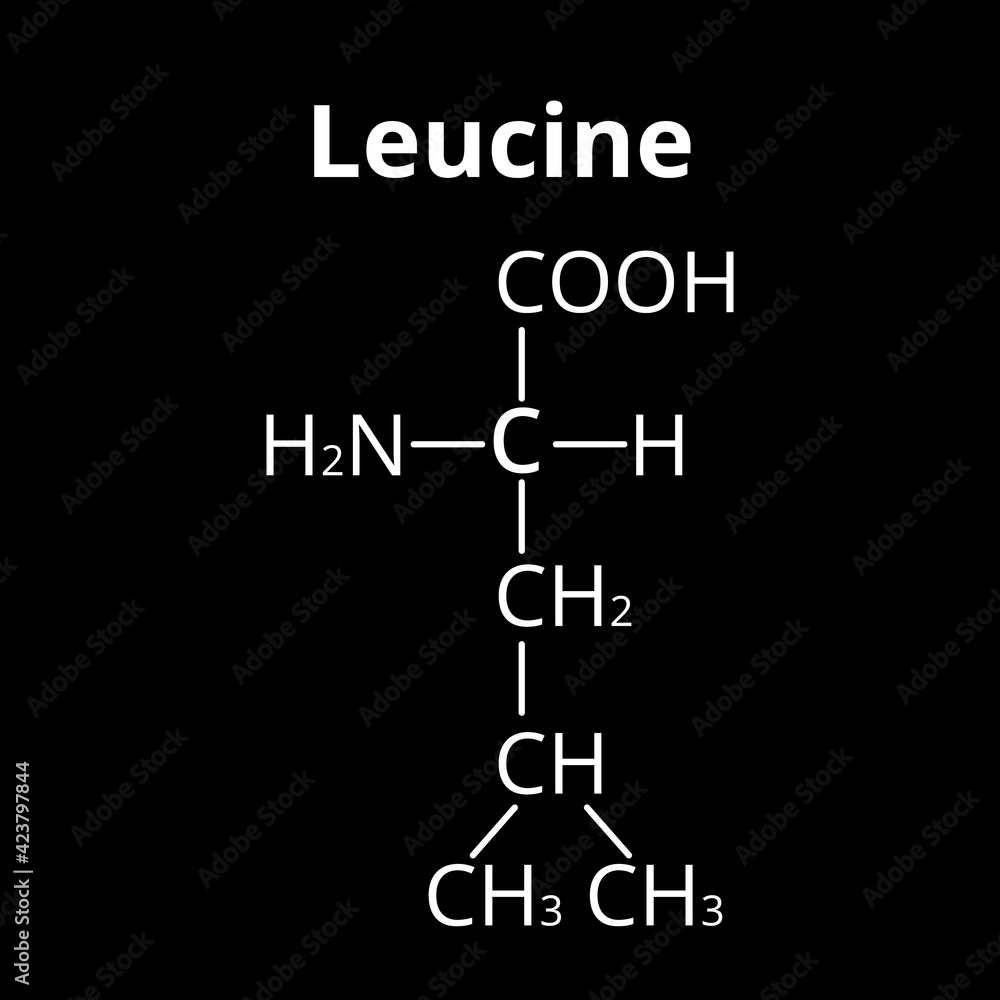 Amino acid Leucine. Chemical molecular formula of amino acid leucine ...