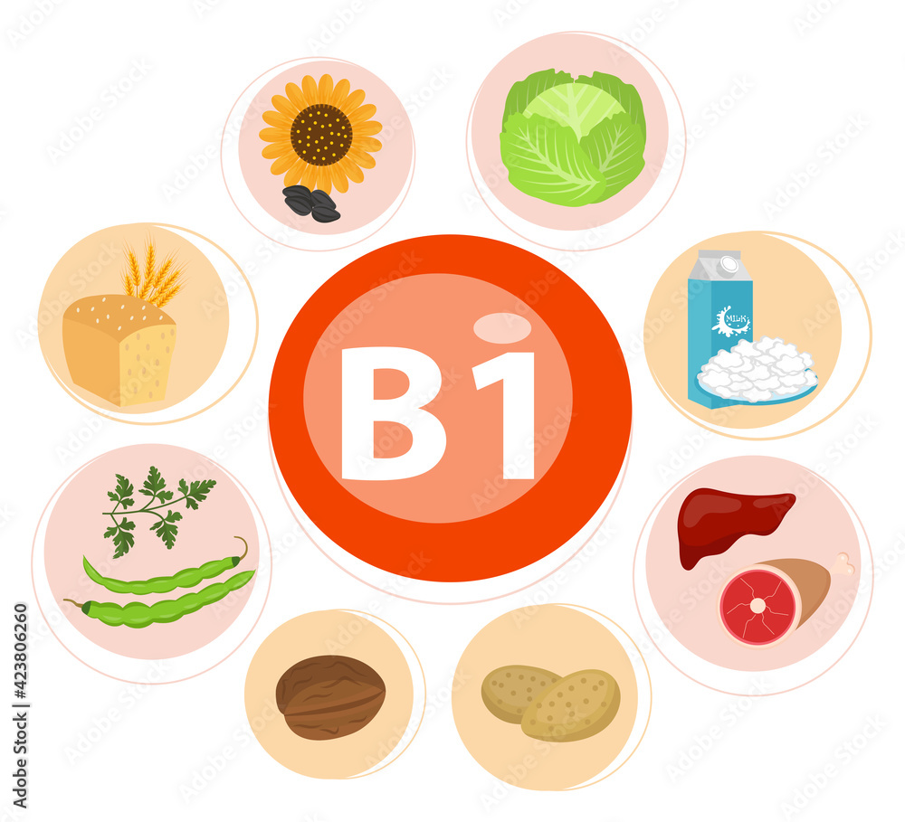 Infographic set of vitamin B1 and useful products spinach, carrot, nut, apricot, cauliflower ...