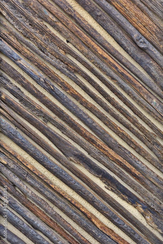 Saguaro cactus ribs accent stucco wall design for natural texture ...