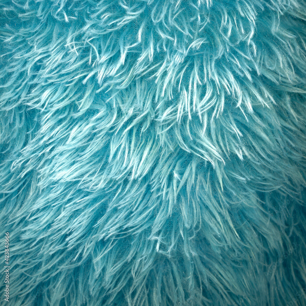 Azure blue furry texture backdrop close up. Texture of wool skin ...