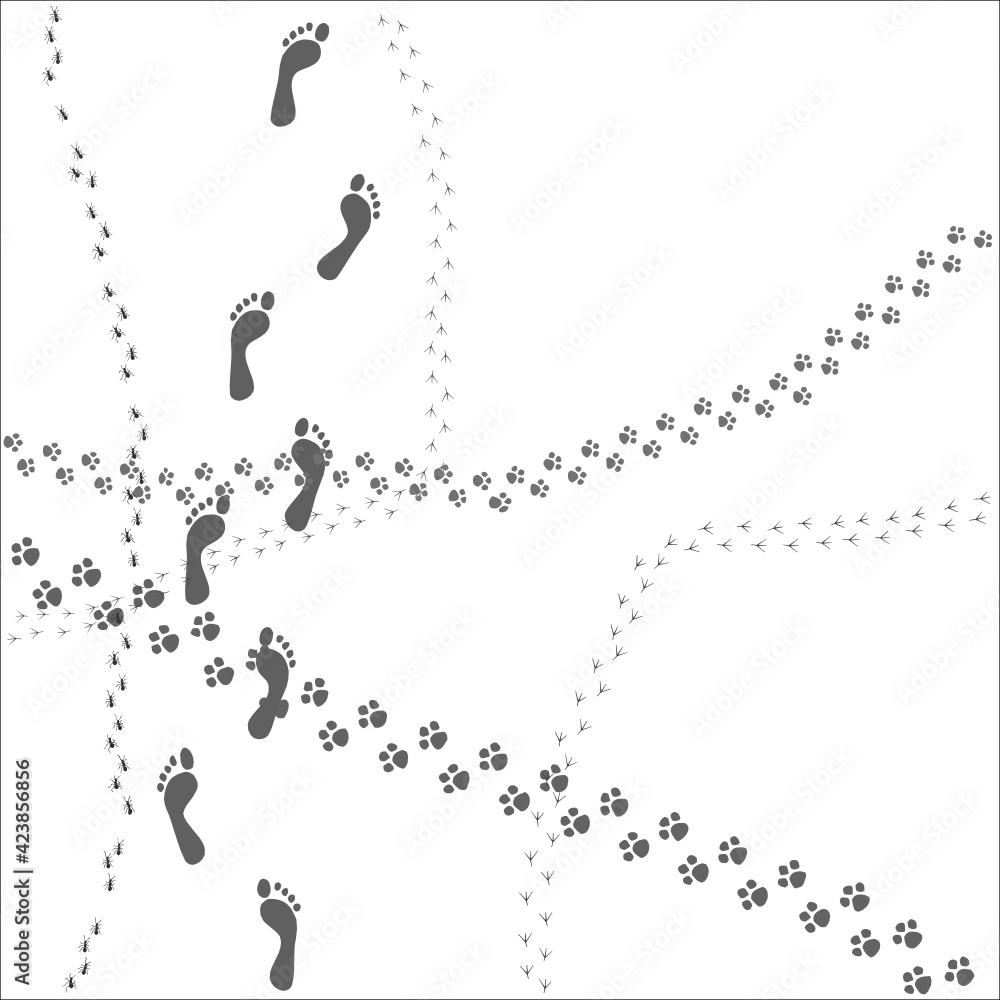 Abstract illustration of human footprints, canine paw prints, bird ...