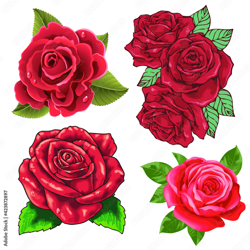 DIFERENTES rosas rojas, tipos de rosas, modelos de rosas rojas, muchas ...