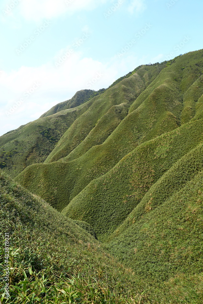 Famous Matcha (Green Tea) Mountain, Shengmu Hiking Trail (Marian Hiking ...