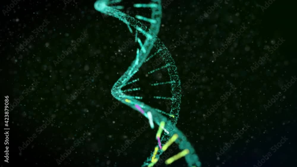 DNA appears on Screen. Two Polynucleotide Chains Coiling Around Each ...