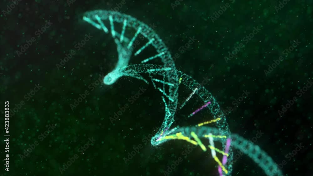 Vidéo Stock Gradually Appearing Animated DNA Chains. Colorful Elements ...