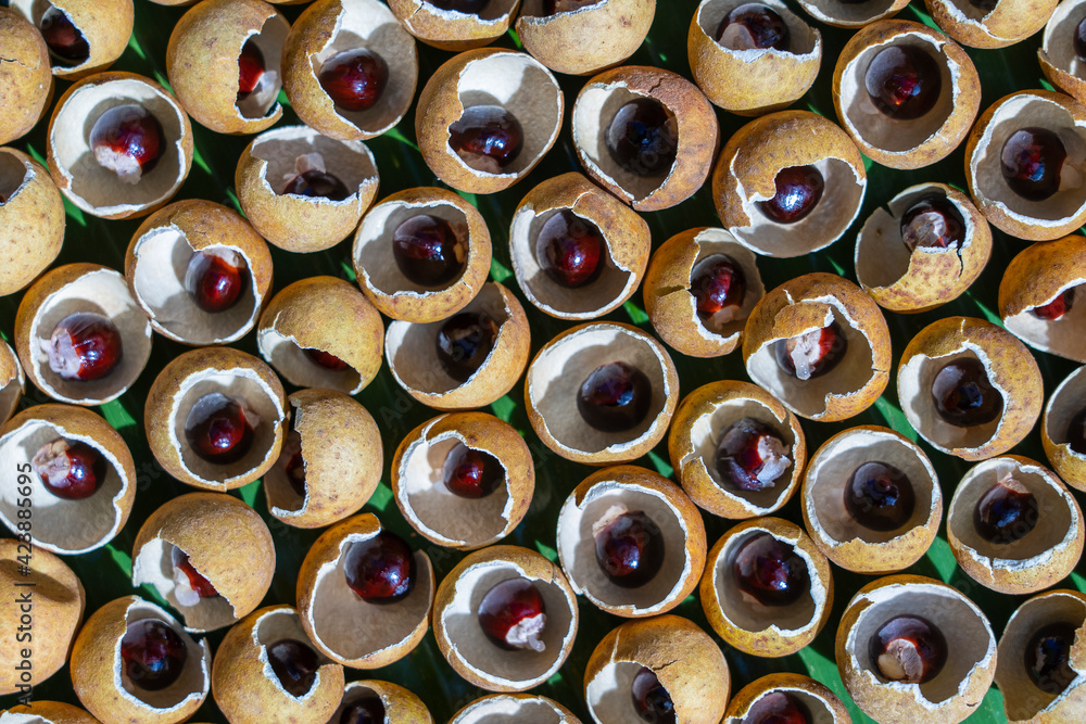 The shell and the bone from the Thai fruit longan. Longan peel shell ...