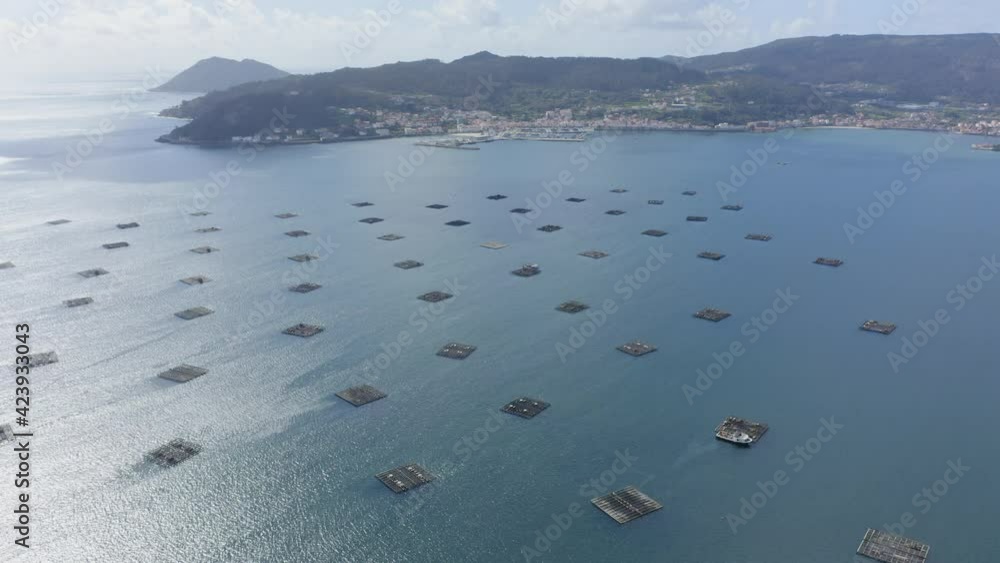 Mussel seafood farms in Ria Muros y Noya Galicia Spain vídeo do Stock ...