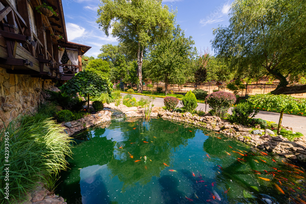 Pond landscaping with aquatic plants and water lilies Stock Photo ...