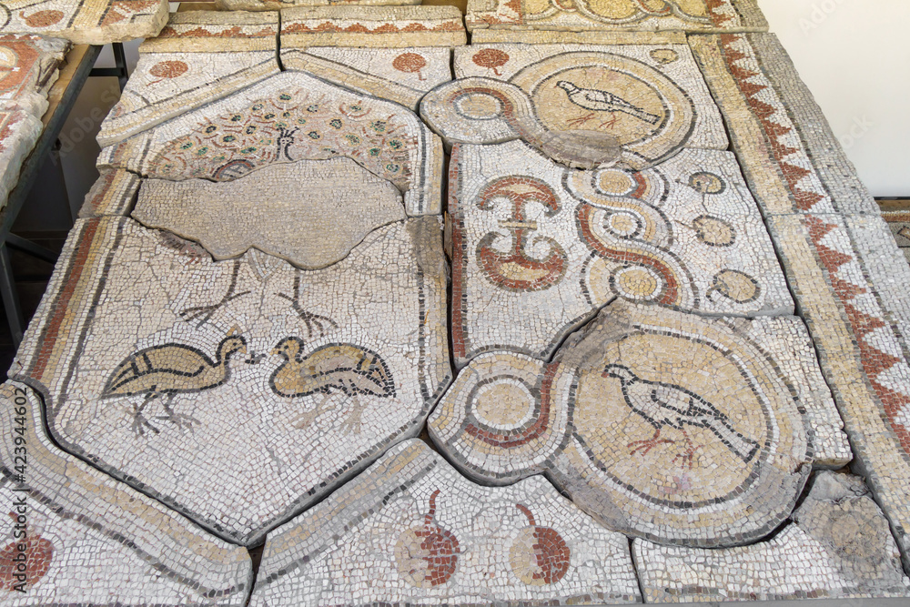 Ancient floor mosaics of Byzantine period (circa VI AD). They are ...