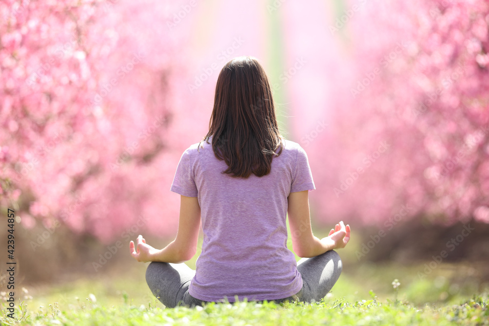 Back view of a yogi practicing yoga in a flowered field Stock Photo ...