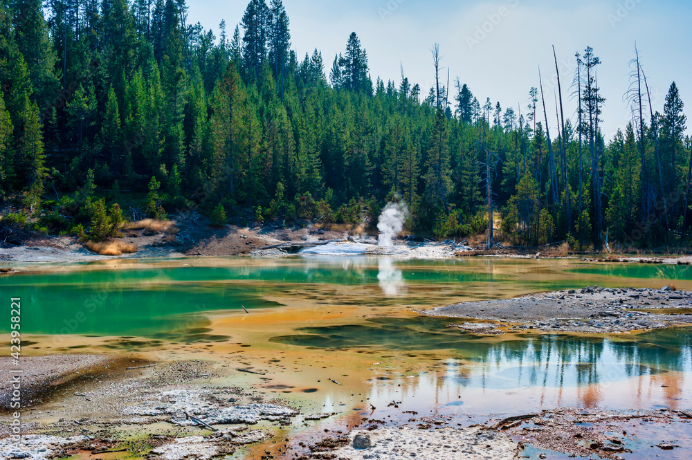 Foto de Geothermal pools at Porcelain Basin boardwalk trail inside ...