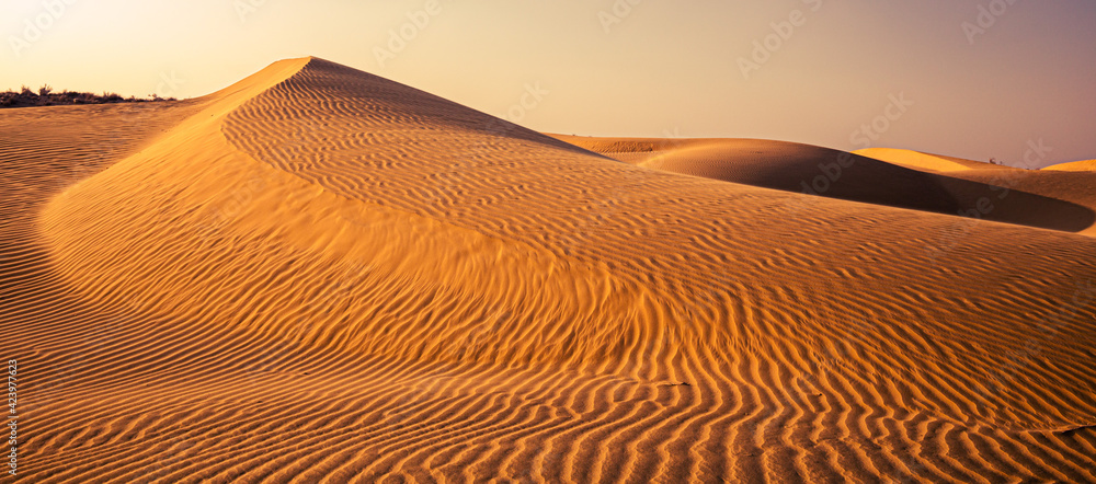 Sand dunes in the Thar desert, Rajasthan, India Stock Photo | Adobe Stock