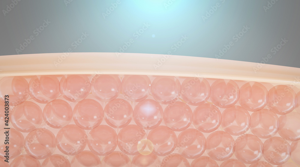 3d skin layer of the skin cell, skin cell microscope. 3d rendering ...