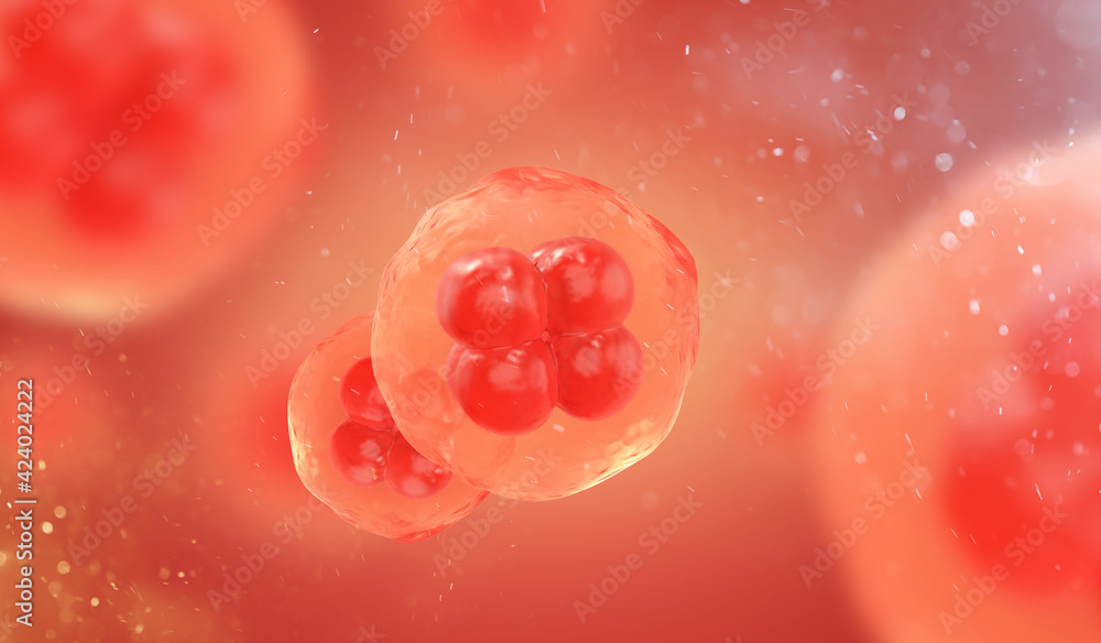 Stem cells. Cells under a microscope. Cellular Therapy. Cell division ...