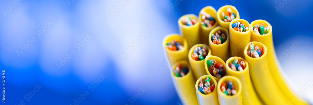 Cross-section of the network cable. Technological background. Wire ...