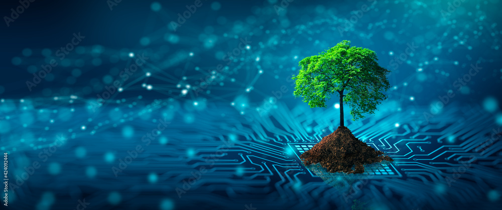 Tree with soil growing on the converging point of computer circuit ...