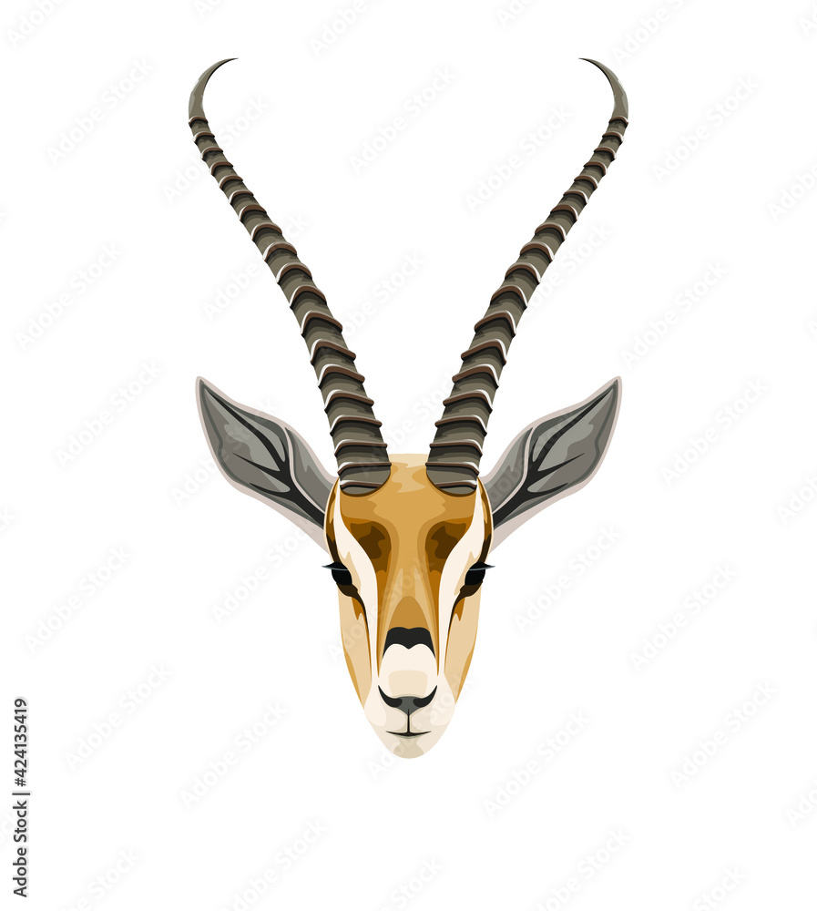 Antelope head on a white background. Gazelle. Safari animals. Stock ...