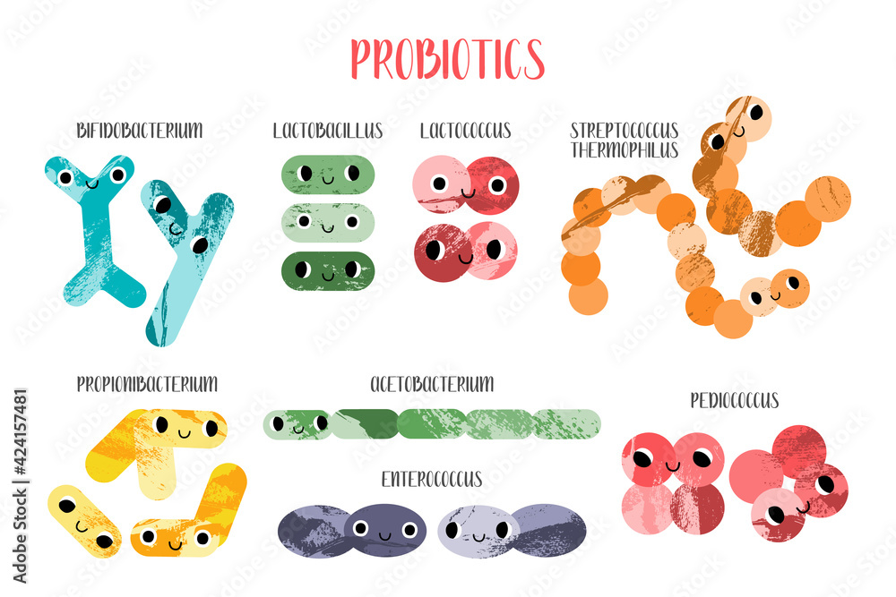 Cute lactic acid bacteria character. Probiotics. Good kawaii ...