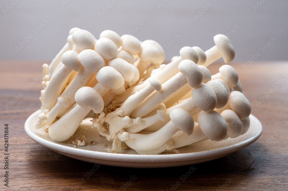 Shimeji edible mushrooms native to East Asia, buna-shimeji is widely ...