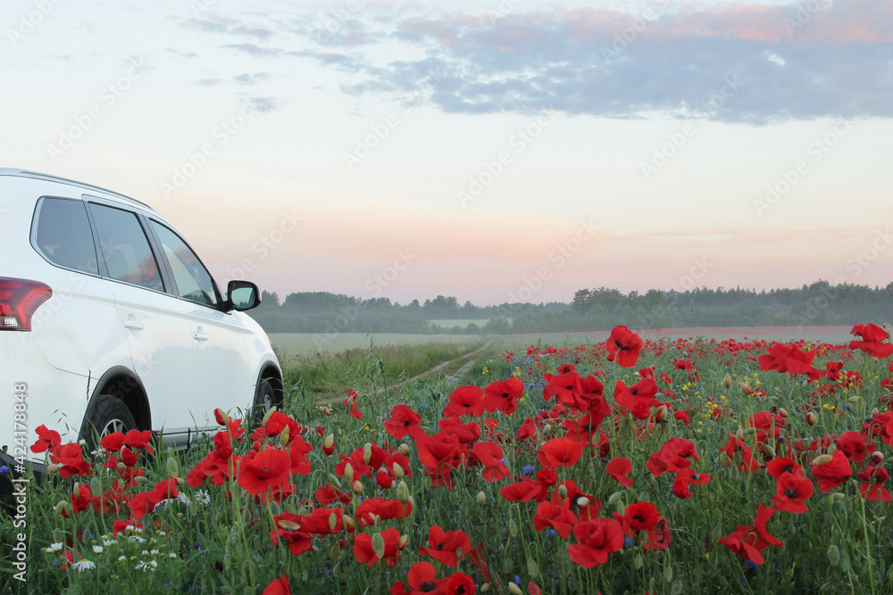 Summertime, tourism, travel, trip, leisure time, vacation mode. Summer ...