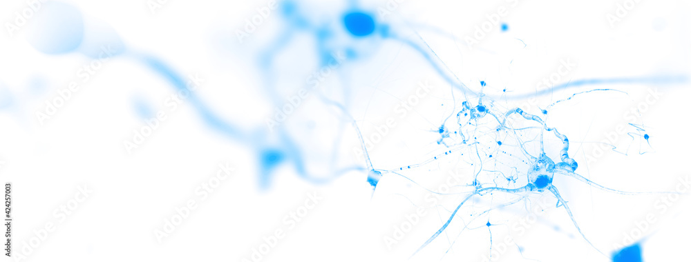 Neurons and nervous system. Nerve cells background with copy space (3d ...