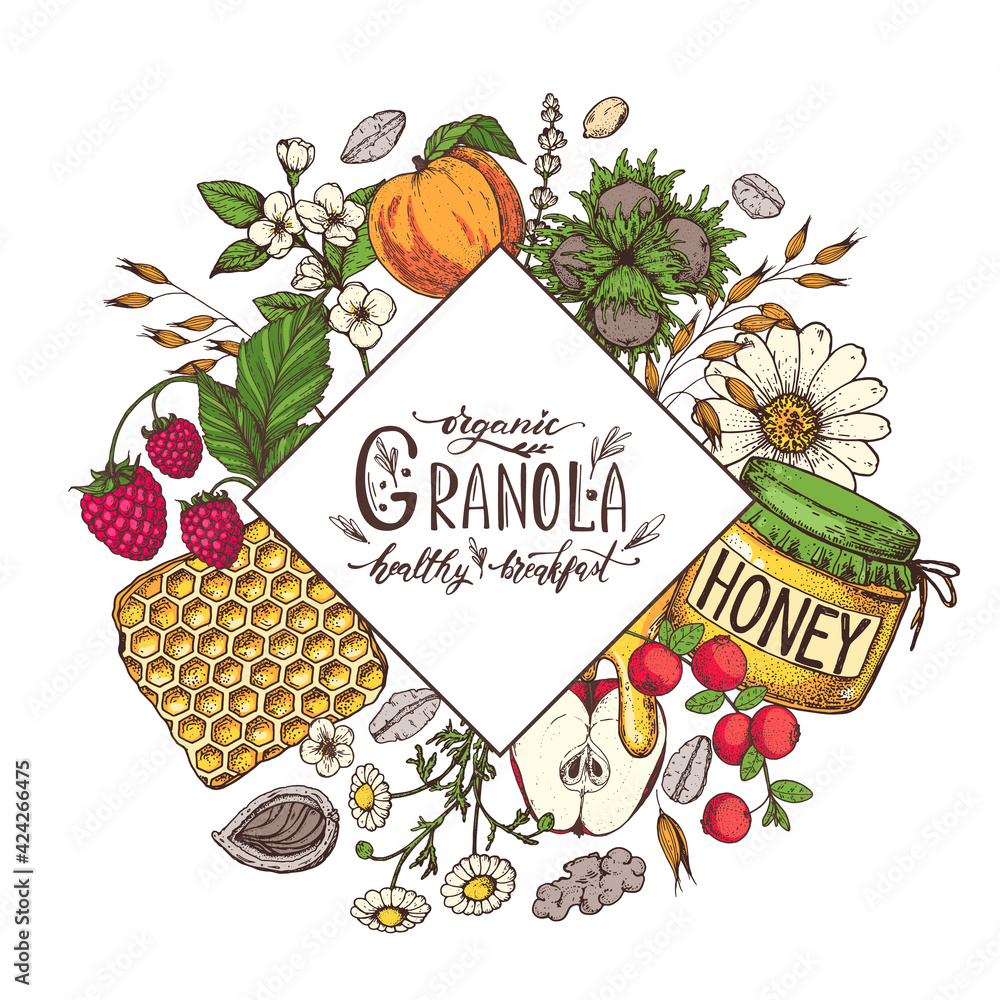 Granola sketch illustration. Breakfast label. Oat flakes , berries ...