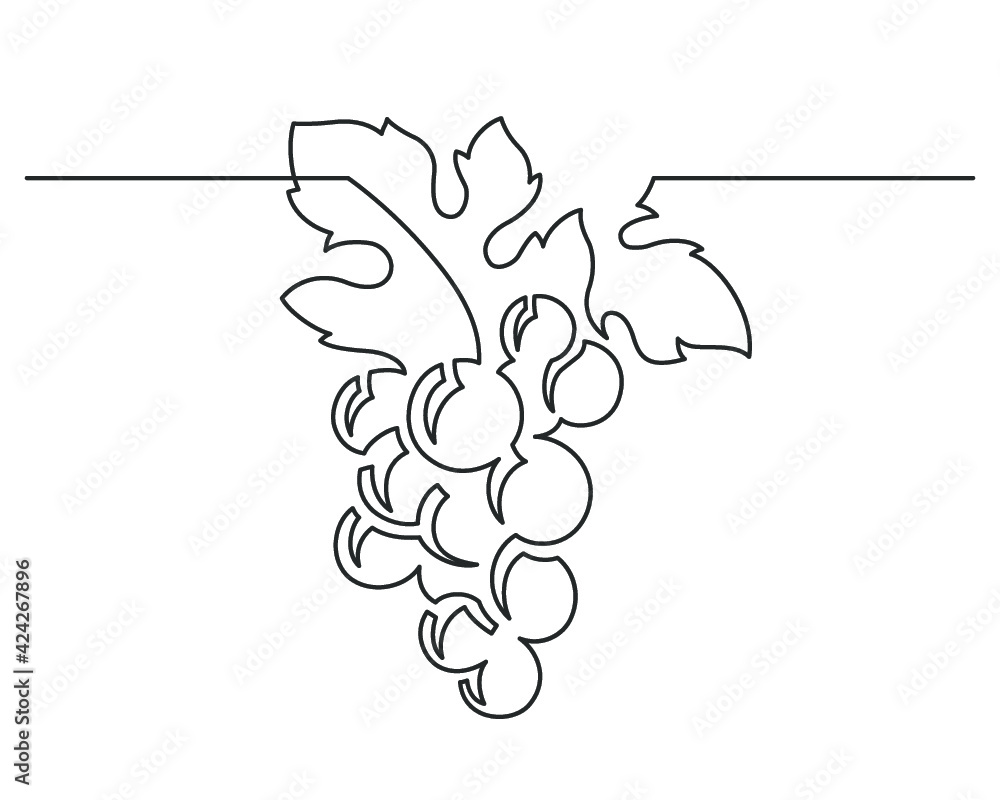 Continuous line drawing bunch of grapes. Template for your design works ...
