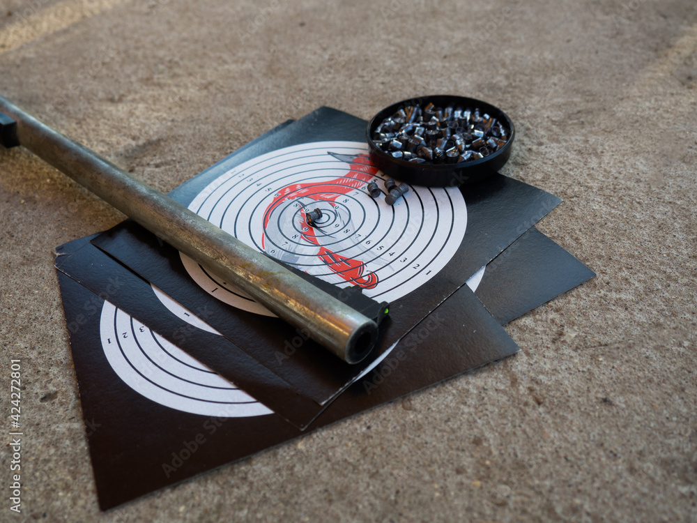 A target for shooting and the barrel of an air rifle. Shooting target ...