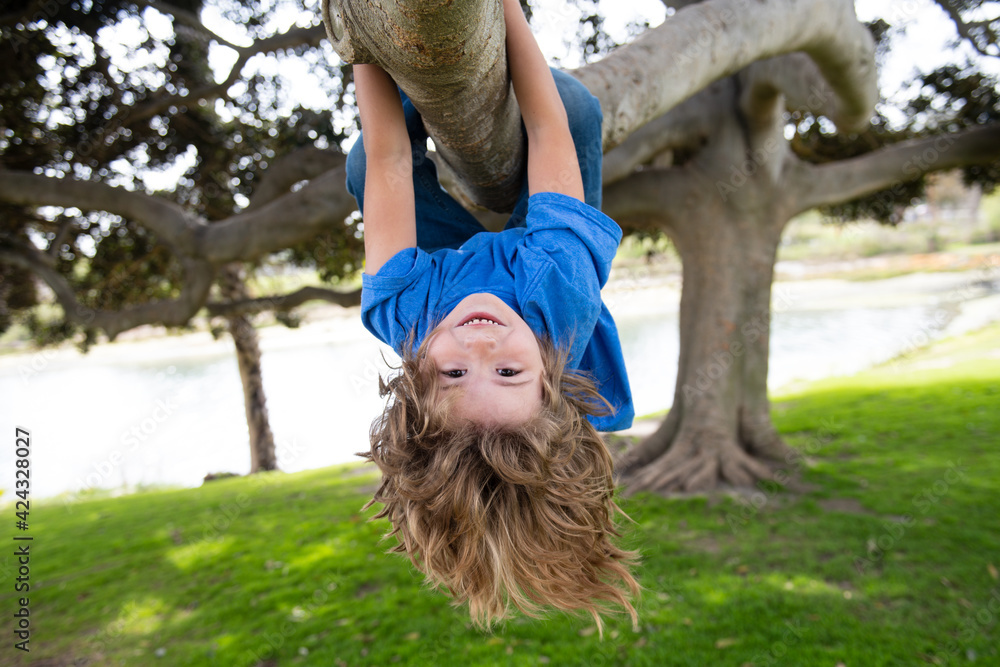 Little kid boy on a tree branch. Climbing and hanging child. Portrait ...