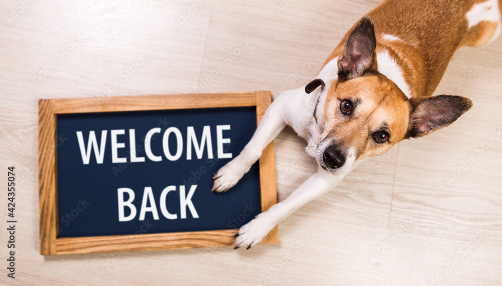 Welcome Back written on a blackboard as a concept for hospitality or ...