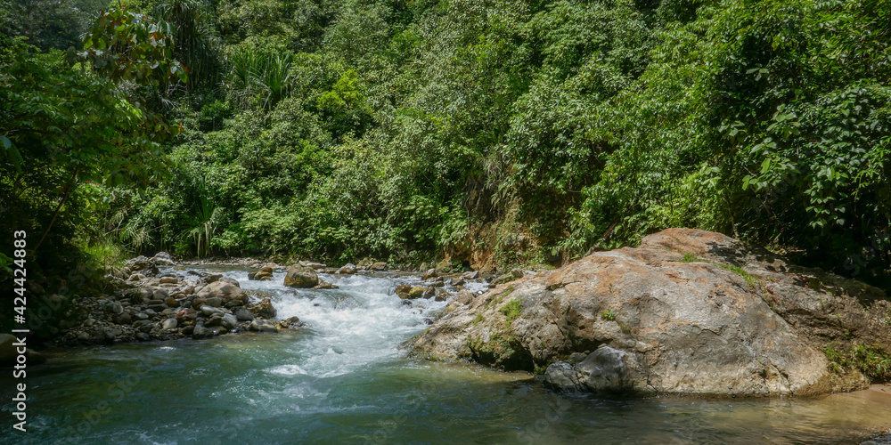 Beautiful tropical panorama with river and jungle in Gunung Leuser ...