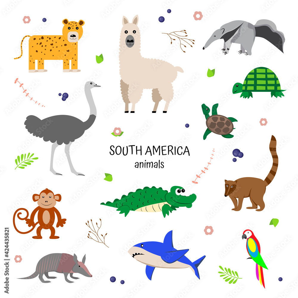Vetor de Animals of South America. Educational poster for children ...