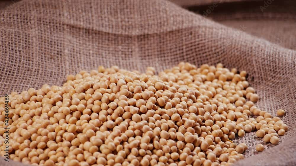 Soybean, High in fiber, top view texture, supplementary food, Protein ...