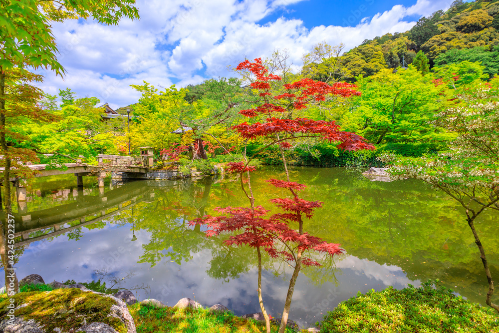 Fotografia do Stock: Kyoto, Japan - April 27, 2017: maple tree in Eikan ...