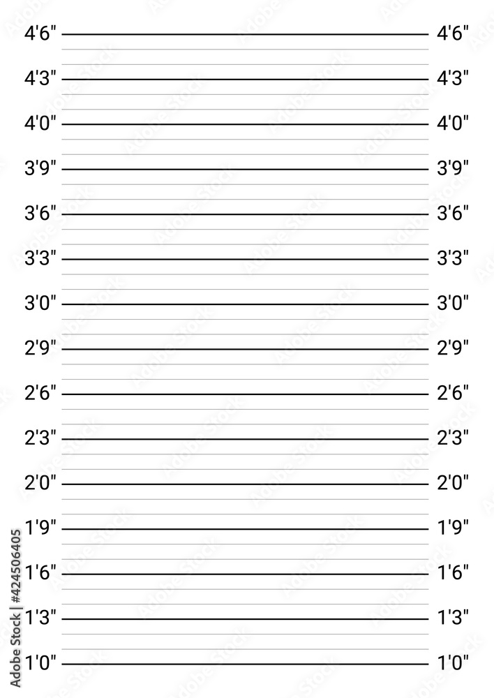 Mugshot background. Police lineup wall for short suspects Stock Vector ...
