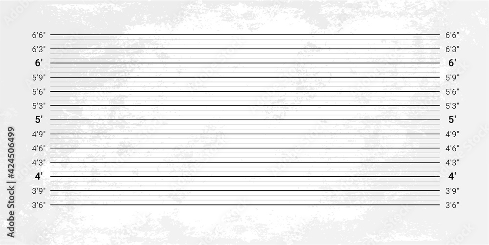 Mugshot background. Police lineup wall. Mug-shot measuring scale Stock ...