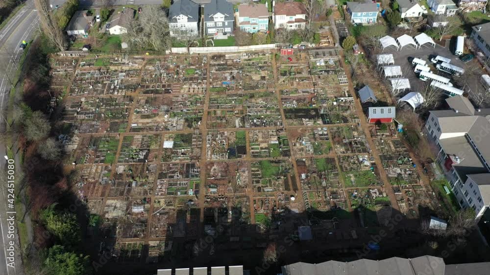 Cinematic aerial drone orbiting footage of Picardo Farm P-Patch urban ...