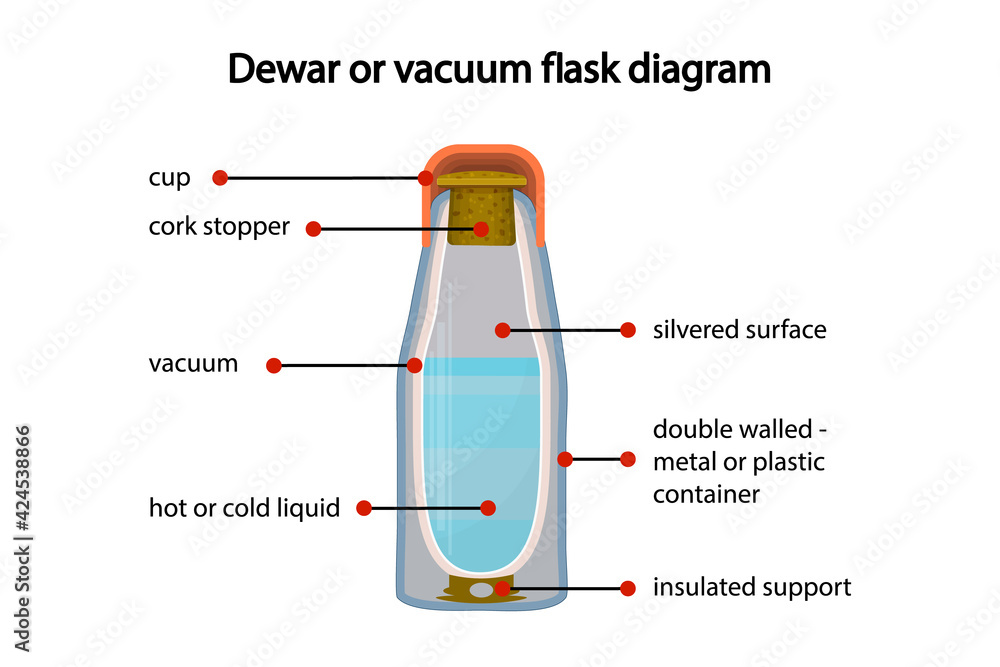 Dewar or vacuum flask fully diagram isolated on white background. Cross ... Dewar or vacuum flask fully diagram isolated on white background. Cross ...