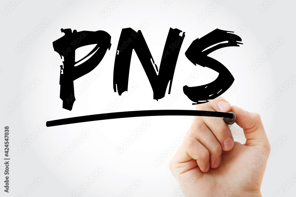 PNS - Peripheral Nervous System acronym with marker, medical concept ...