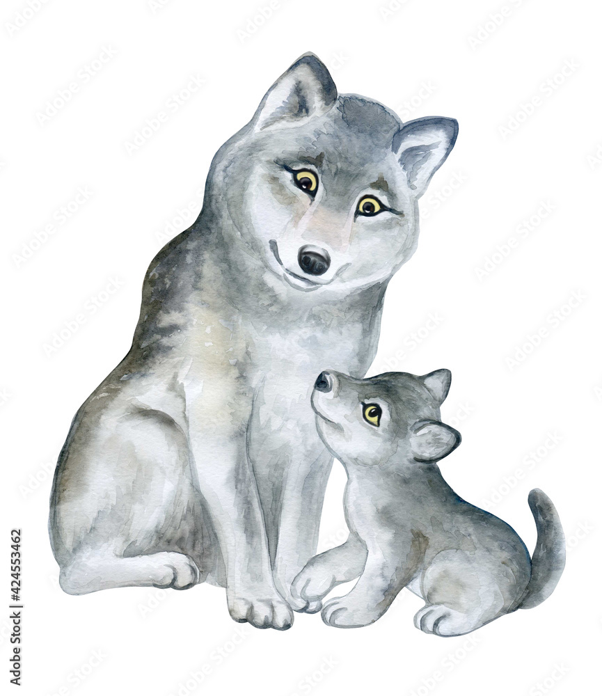 Wolf. Wolves. Mom and baby isolated on white background. Forest animals ...