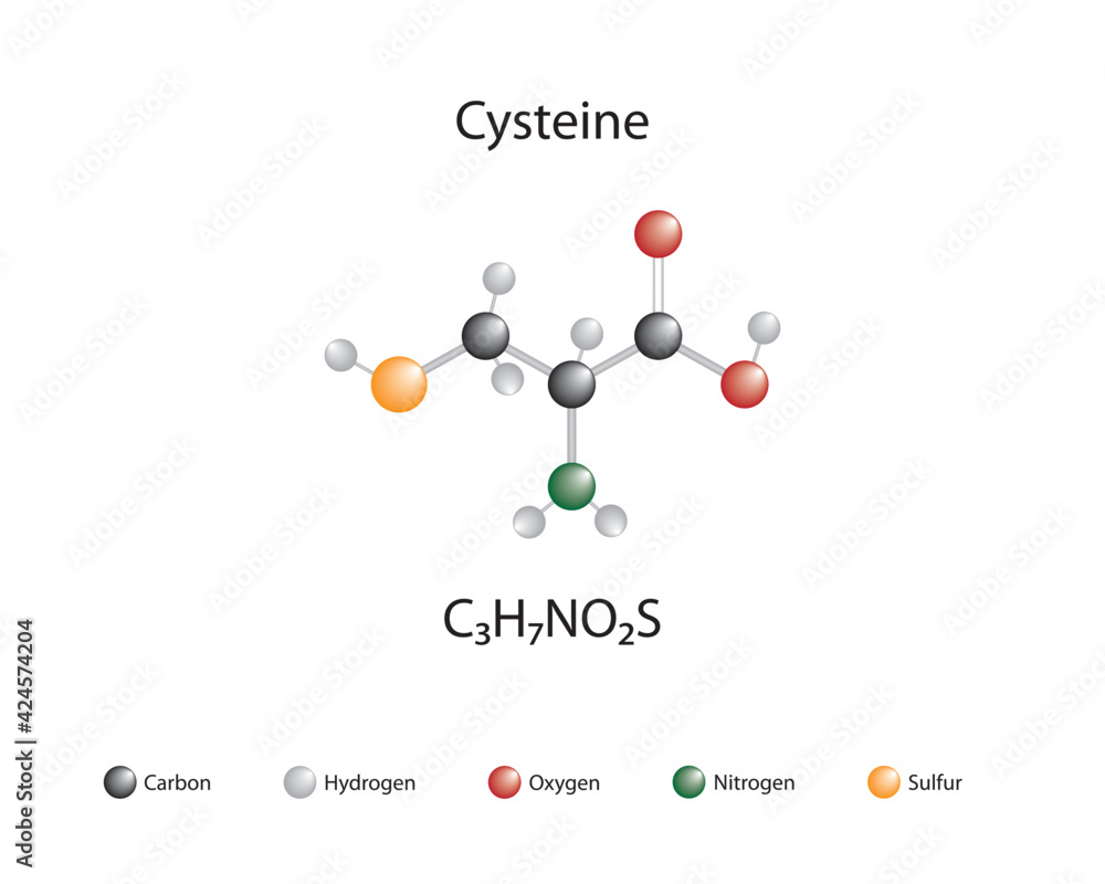 Cysteine, L-cysteine. Roteinogenic amino acid molecule. Structural ...